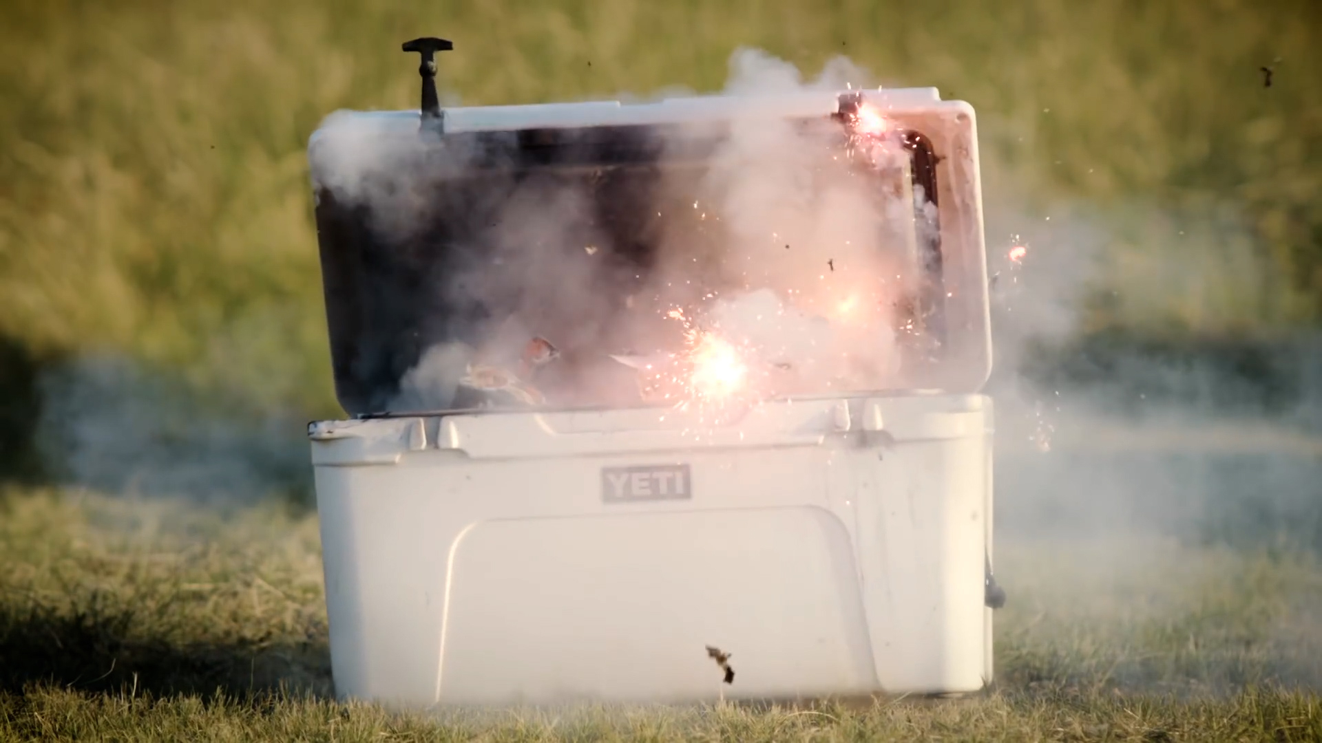 YETI vs. Grizzly Bear | YETI Stories