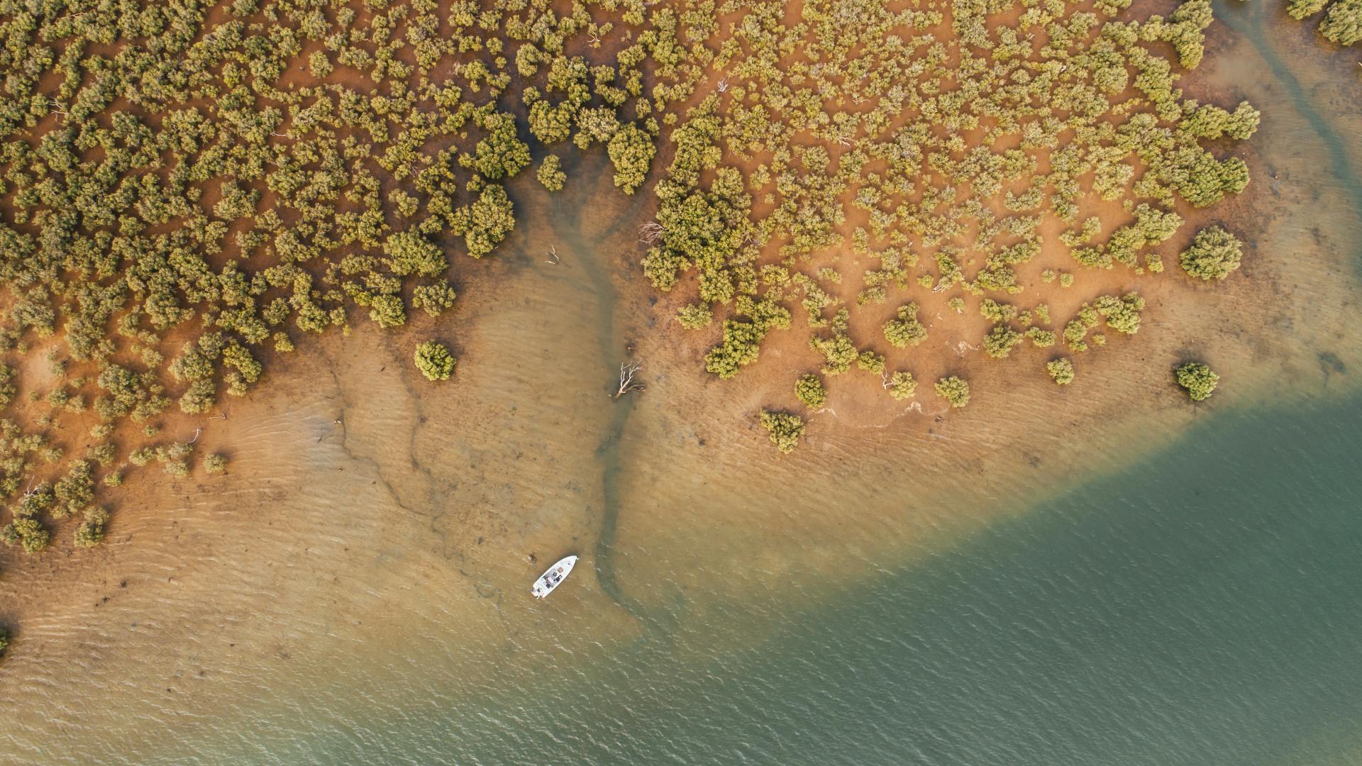 Exmouth Fly | YETI Stories