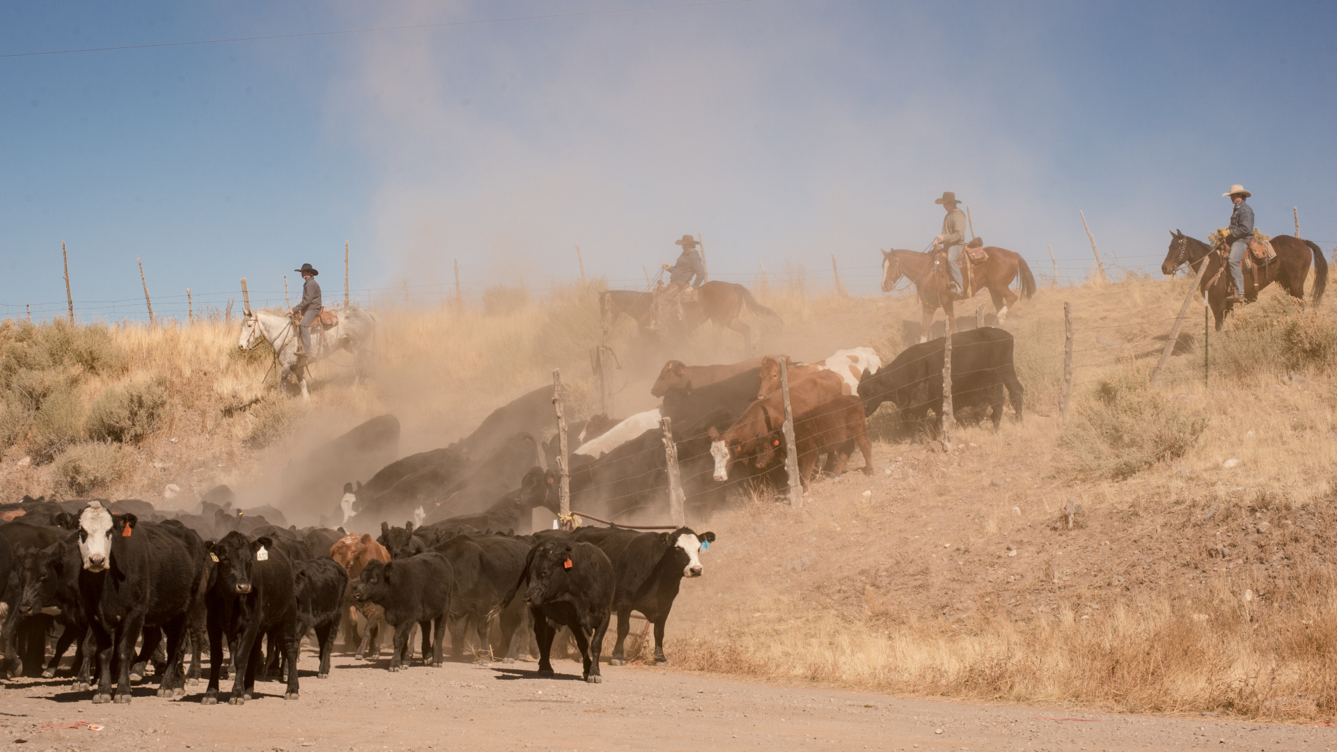 YETI Ambassador Ryder Wright