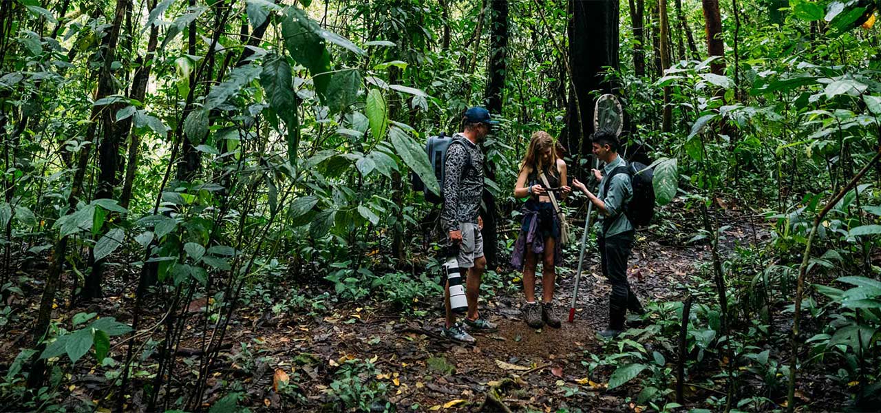 YETI Canopy Green Color Collection